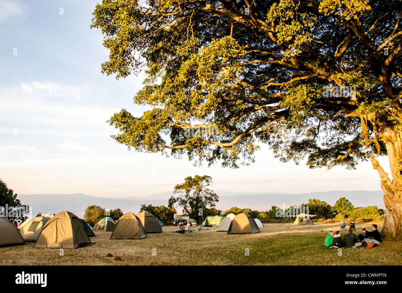 Ngorongoro crater conservation area hi-res stock photography and images ...