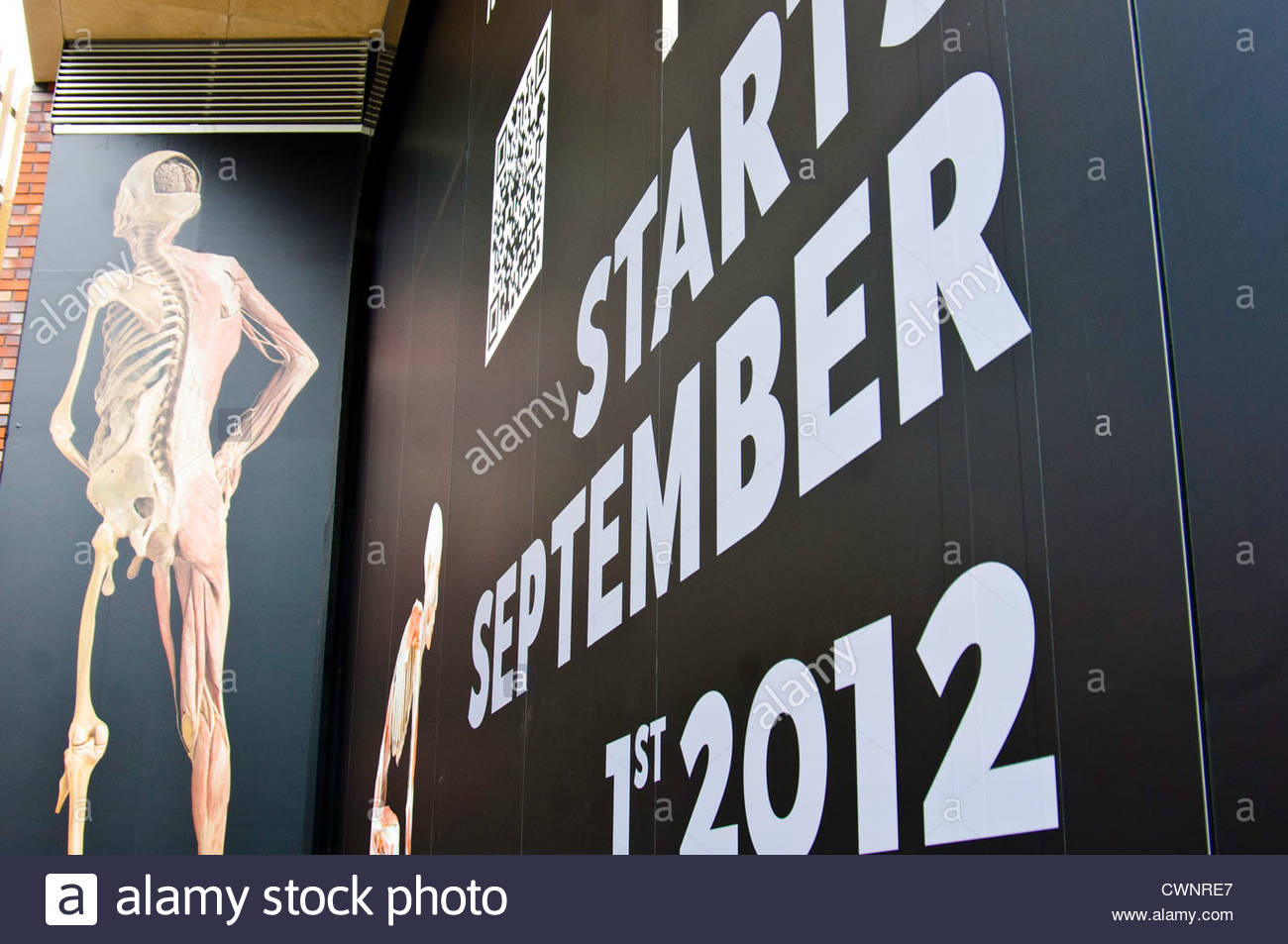 Human Body Bodies High Resolution Stock Photography and Images - Alamy