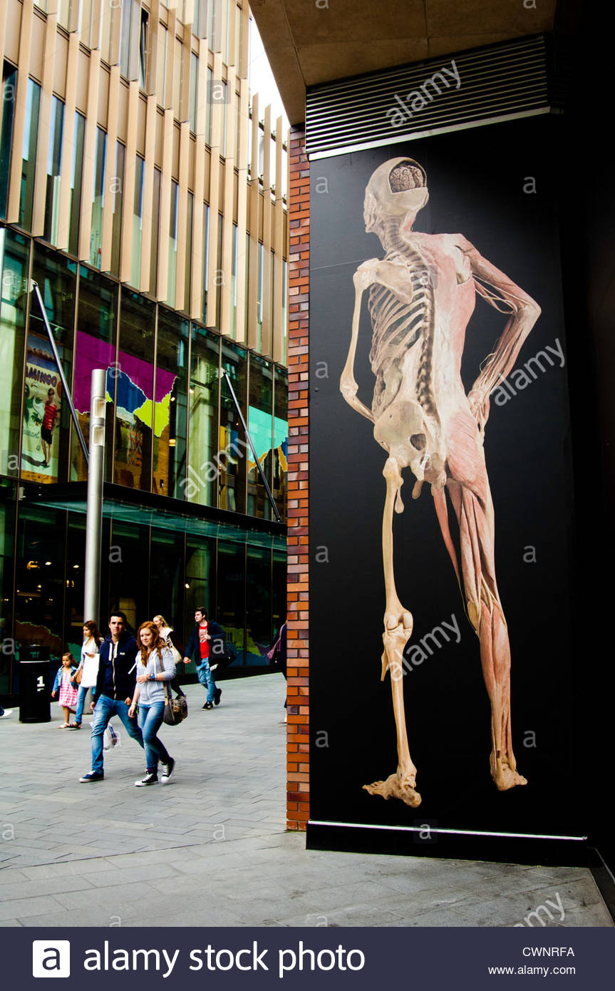 Human Body Exhibition High Resolution Stock Photography and Images - Alamy