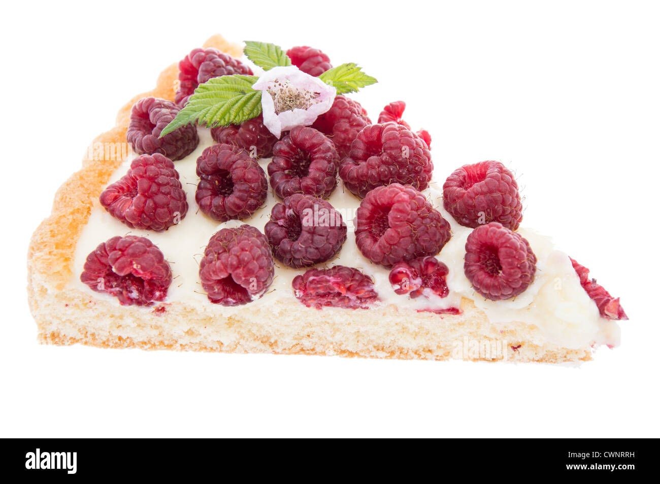 Piece of Raspberry Tart isolated on white background Stock Photo - Alamy
