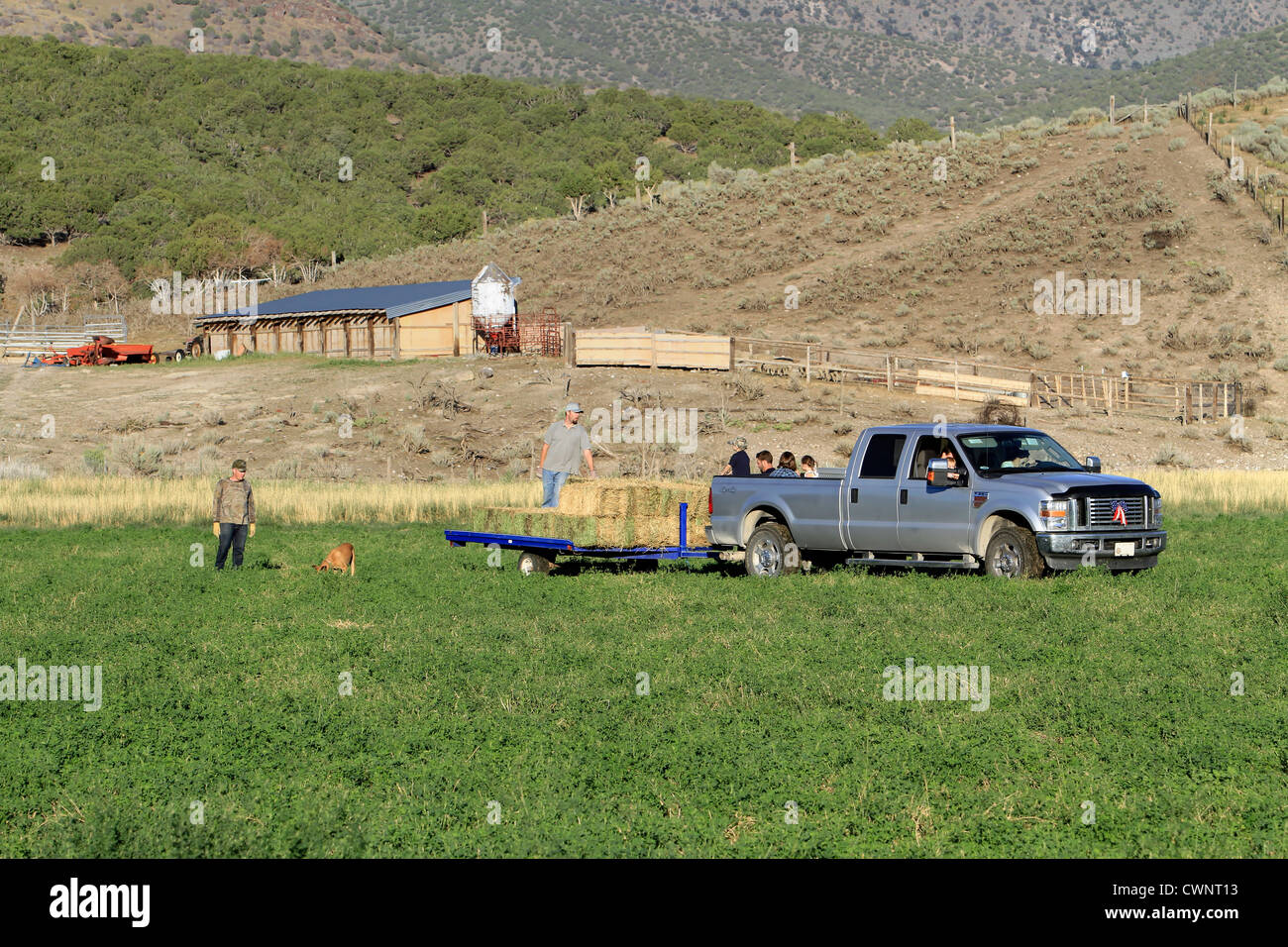Flatbed tow truck hi-res stock photography and images - Alamy