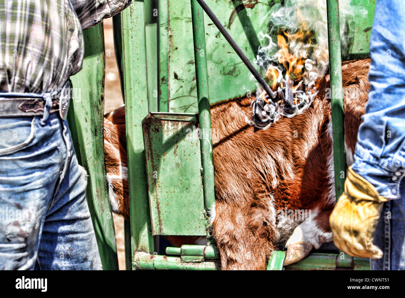 Branding iron hi-res stock photography and images - Alamy