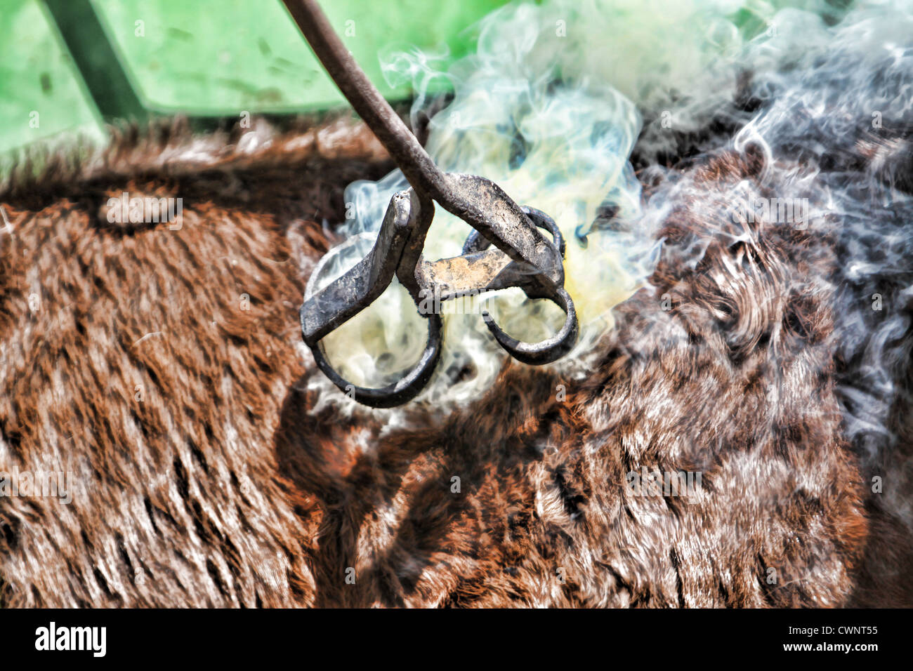 Branding iron hi-res stock photography and images - Alamy