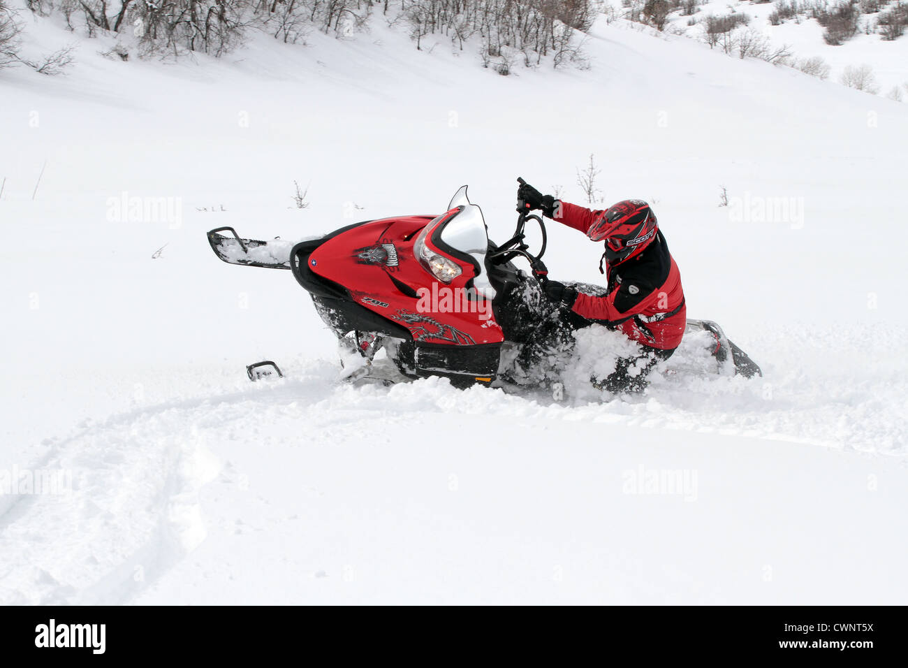 Snowmobile rider having fun and turning in fresh white snow. Sharp ...
