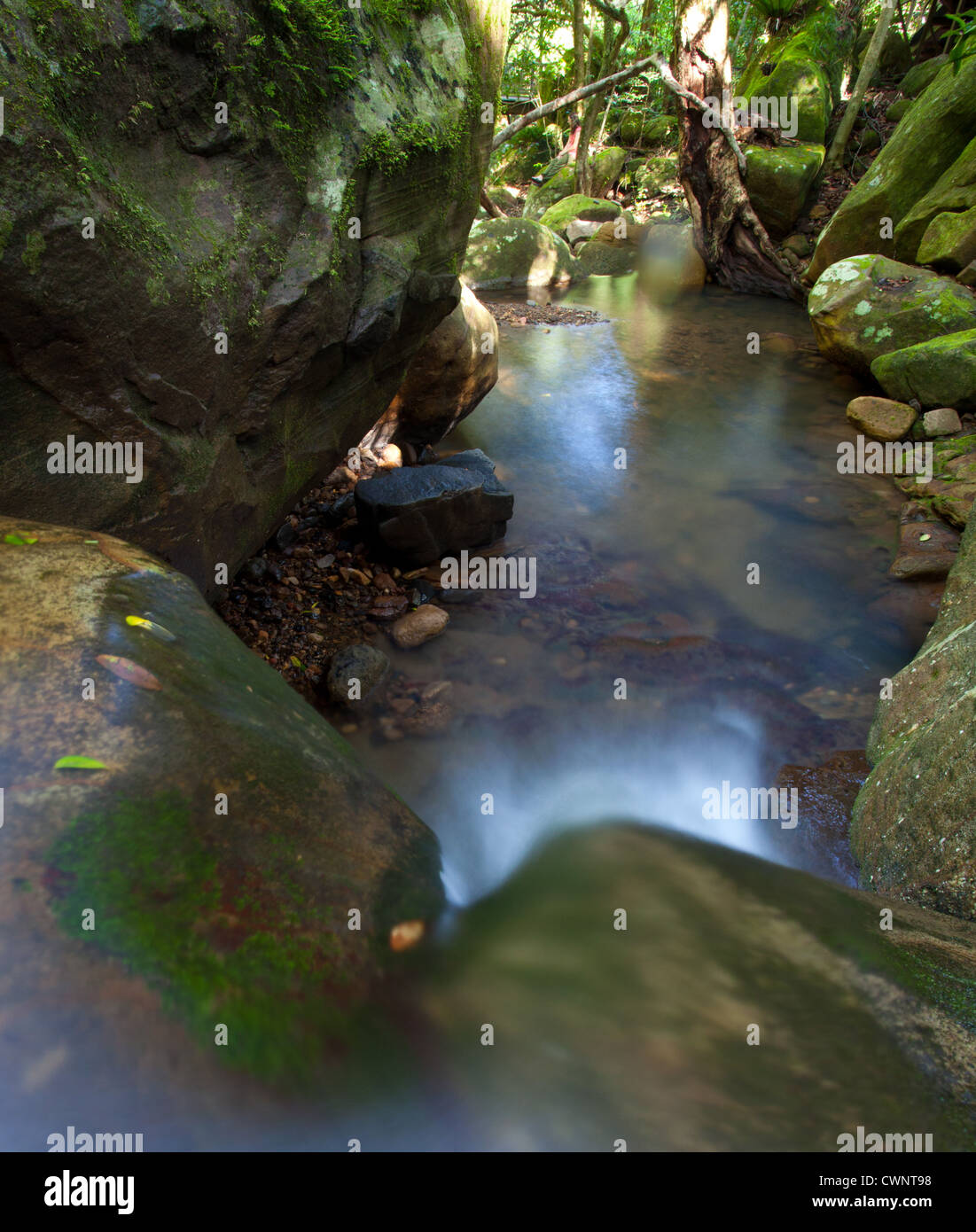 Rushing water in a rainforest stream, Royal National Park, NSW ...