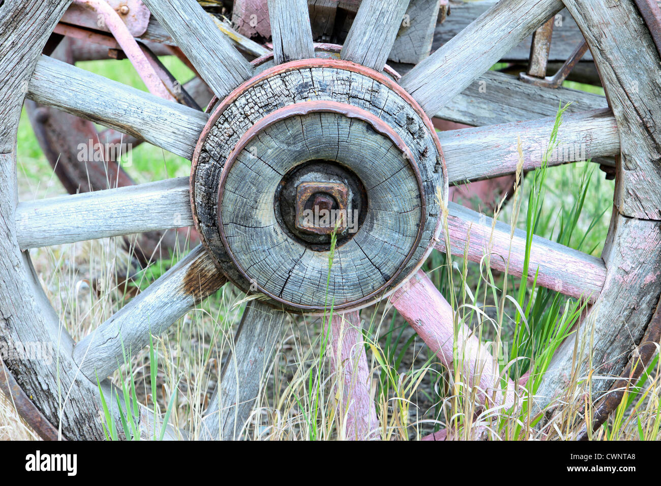 Old, antique wagon wheel with weathered wood and rusty metal parts in a ...