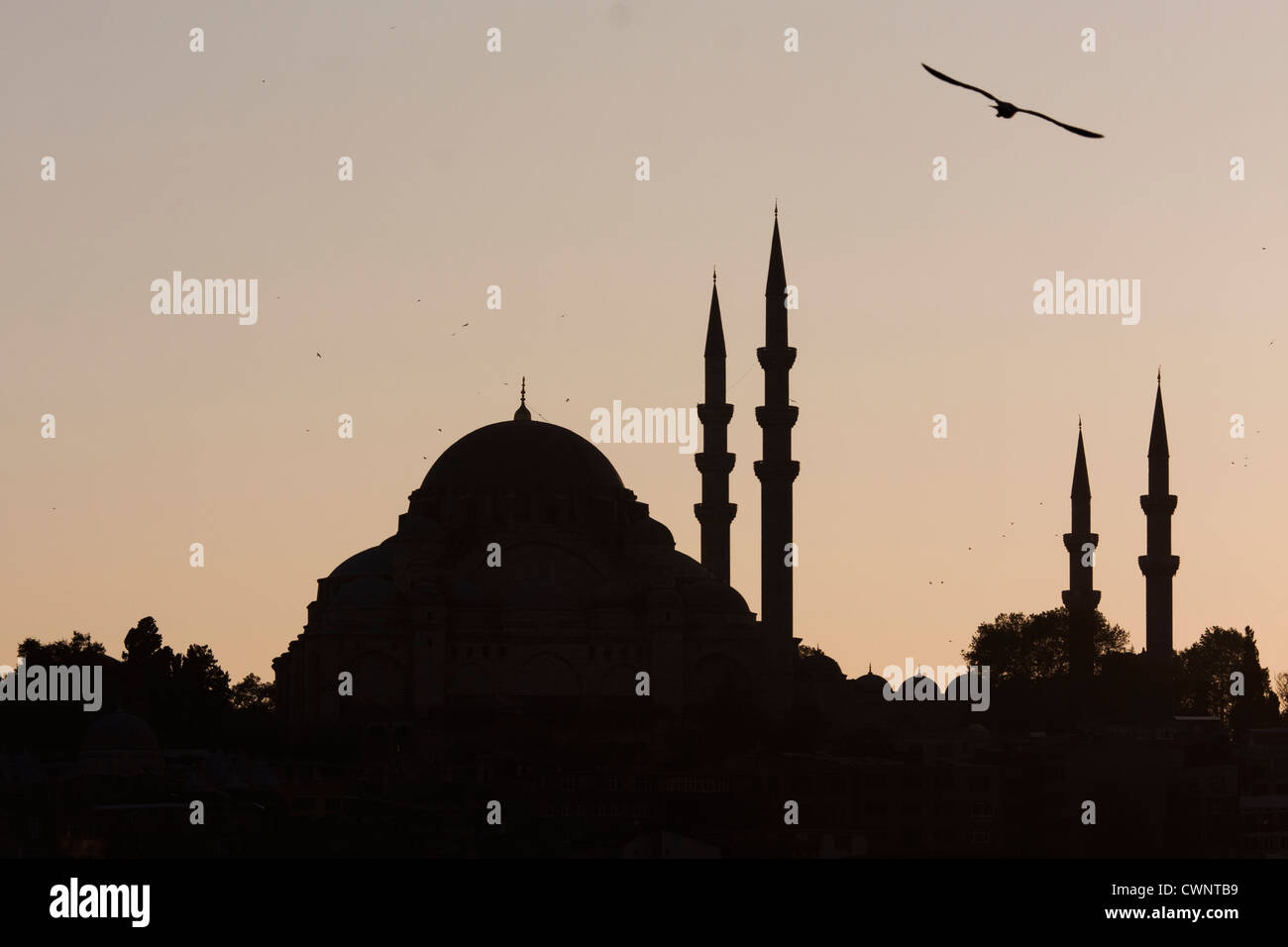Sunset and mosque hi-res stock photography and images - Alamy
