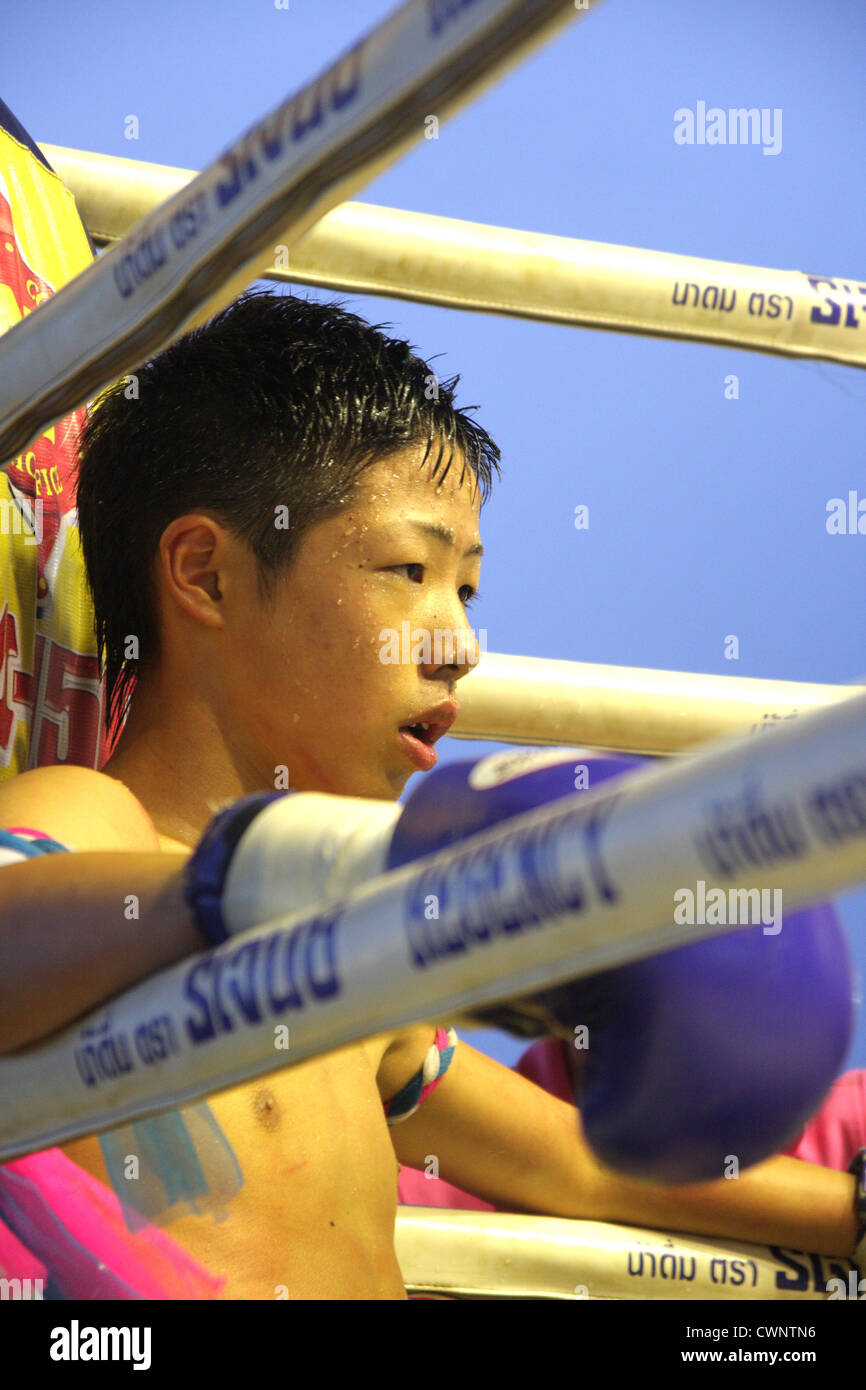 Young Muay Thai fighter on ring Stock Photo - Alamy