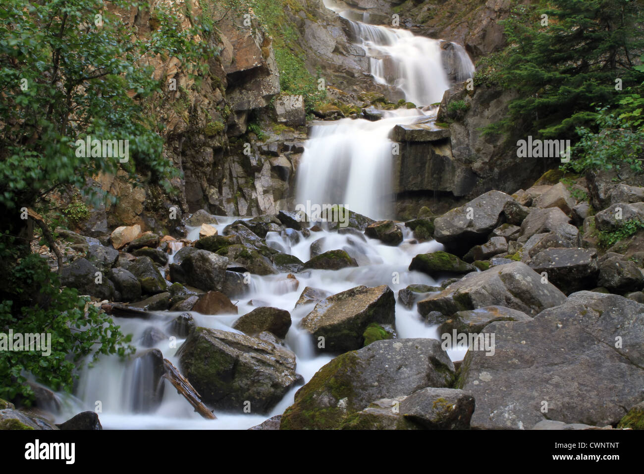 Waterfall cascading down a rocky mountain ravine with green ferns and ...