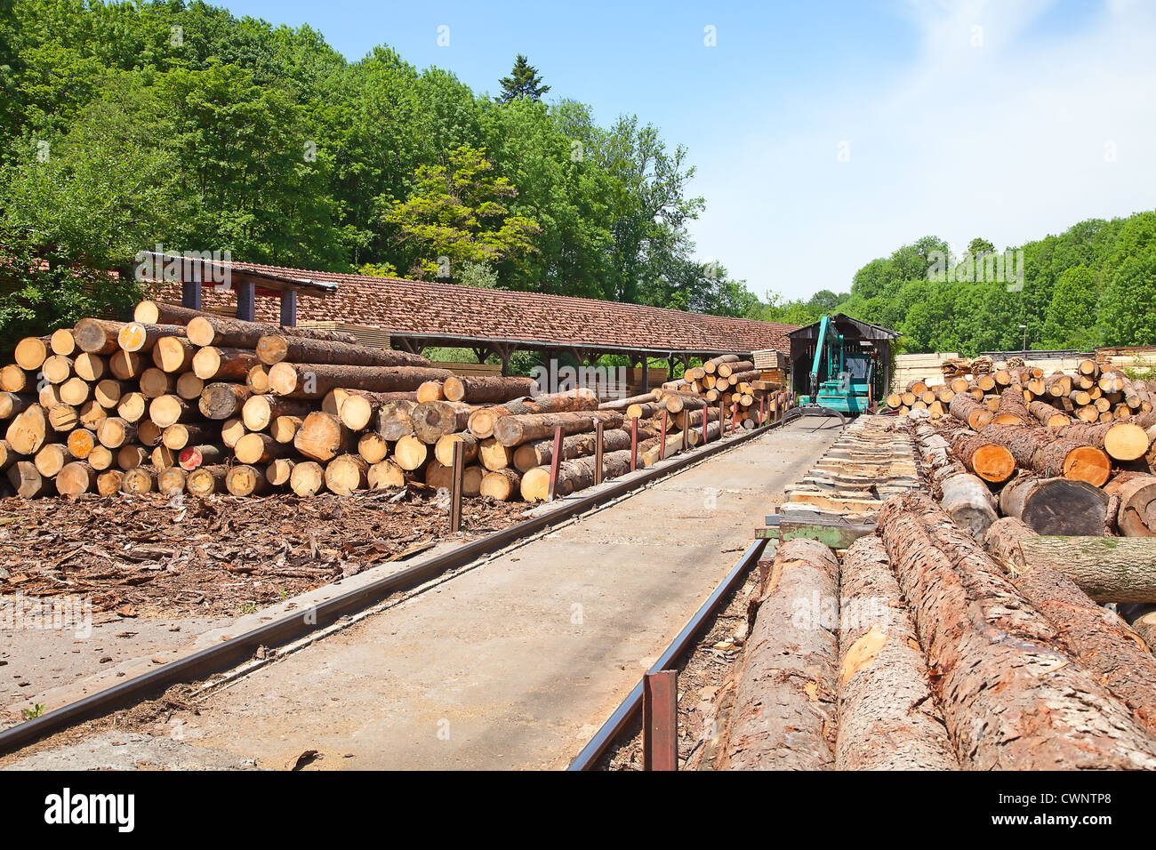 Wood ready for processing at the lumber yard Stock Photo - Alamy