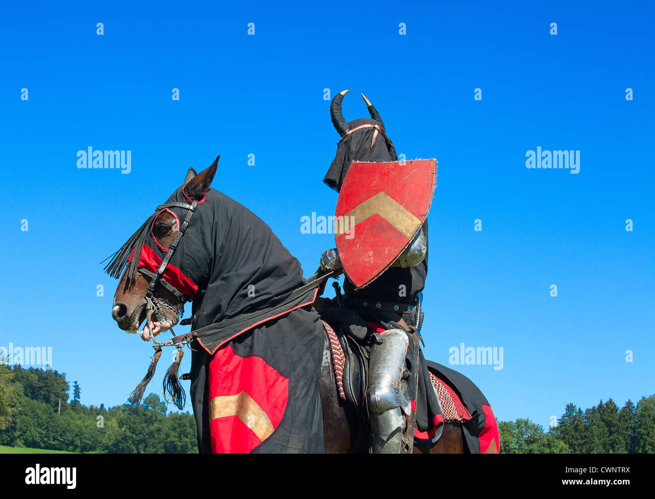Old cavalier soldier horse hi-res stock photography and images - Alamy