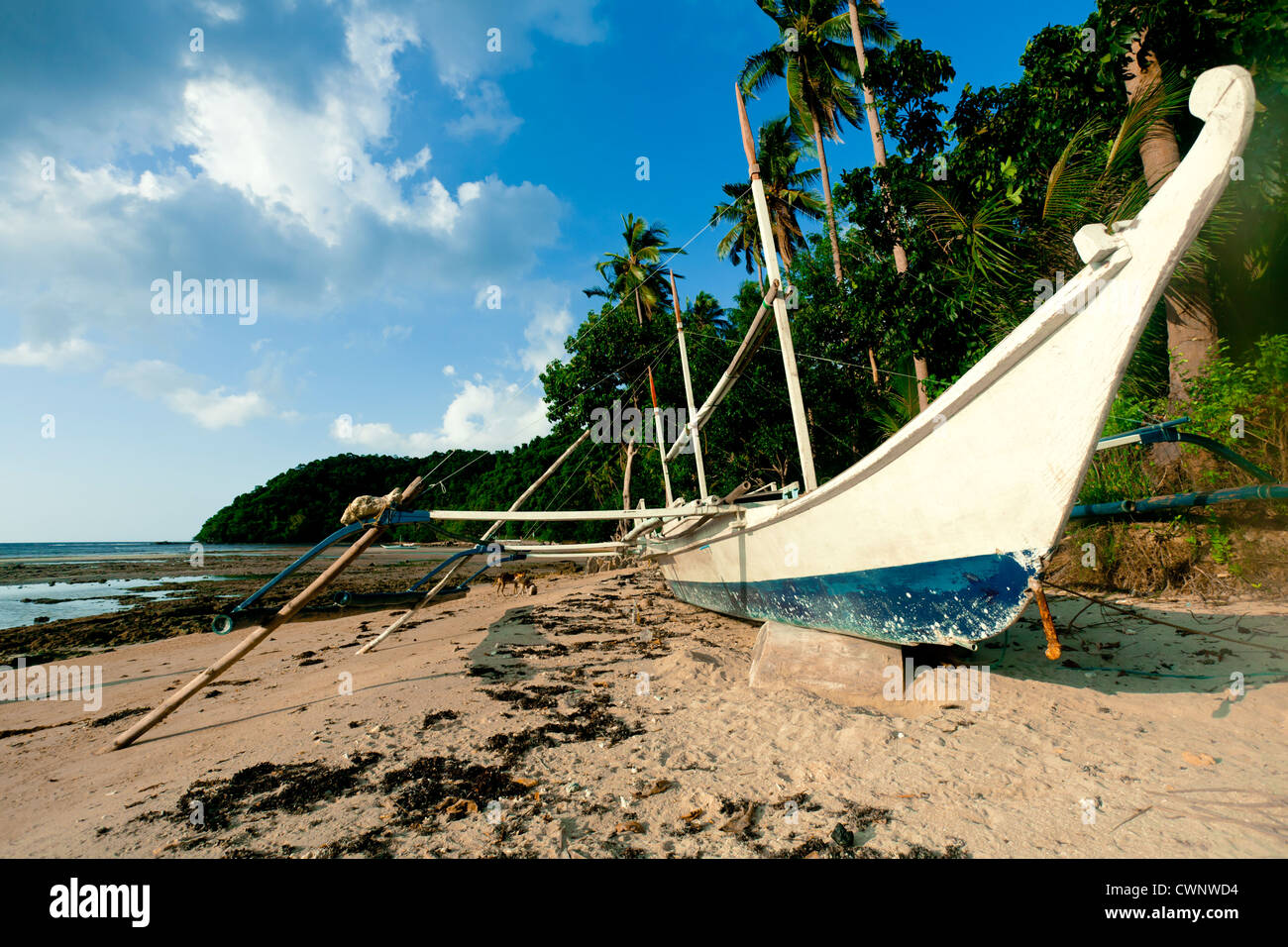 A boat at tropical beach Stock Photo - Alamy