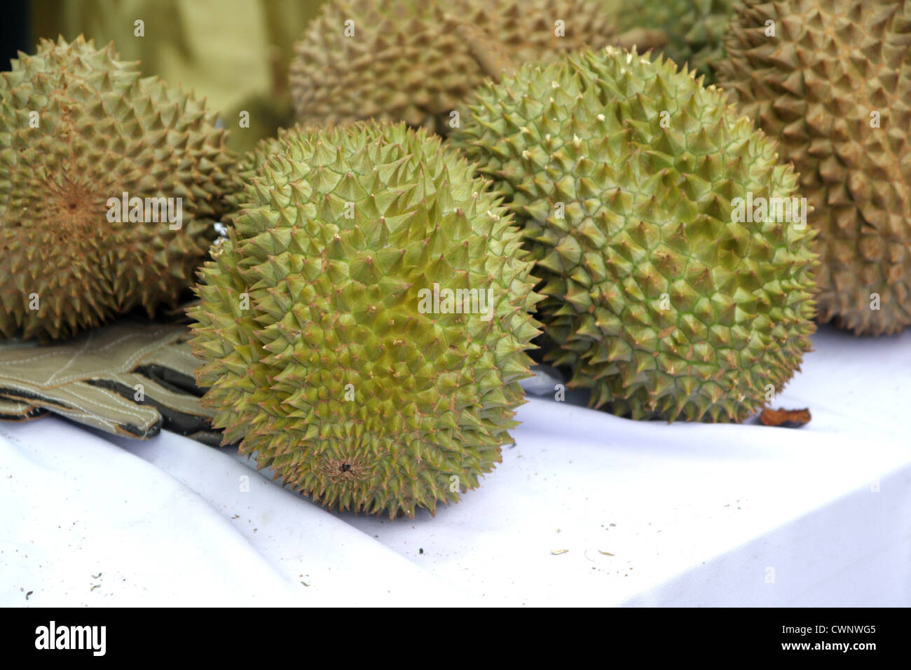 Durian asia hi-res stock photography and images - Alamy