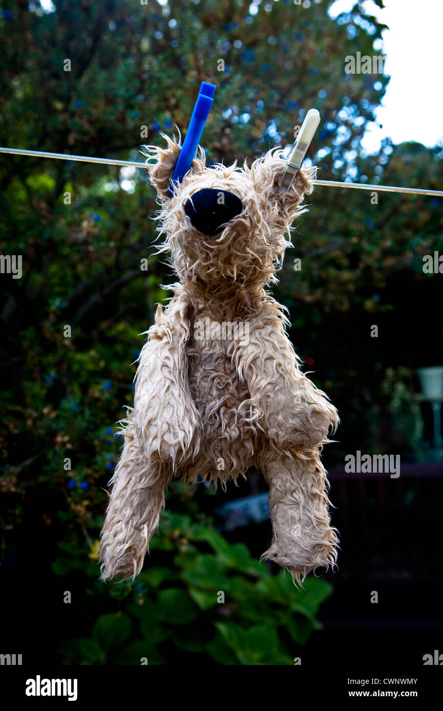 Teddy Bear hanging from washing line Stock Photo - Alamy