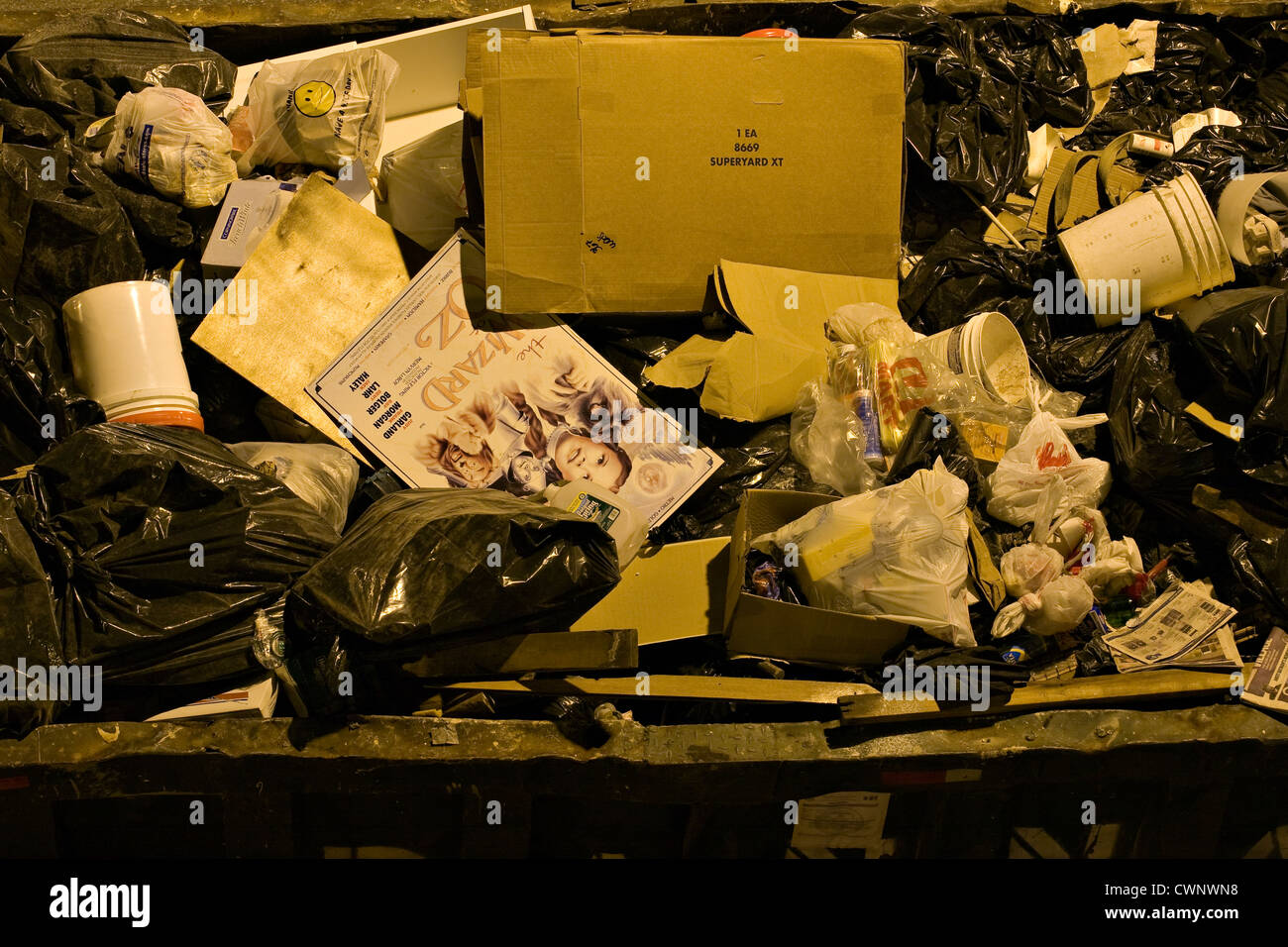 Dumpster Diving Treasures