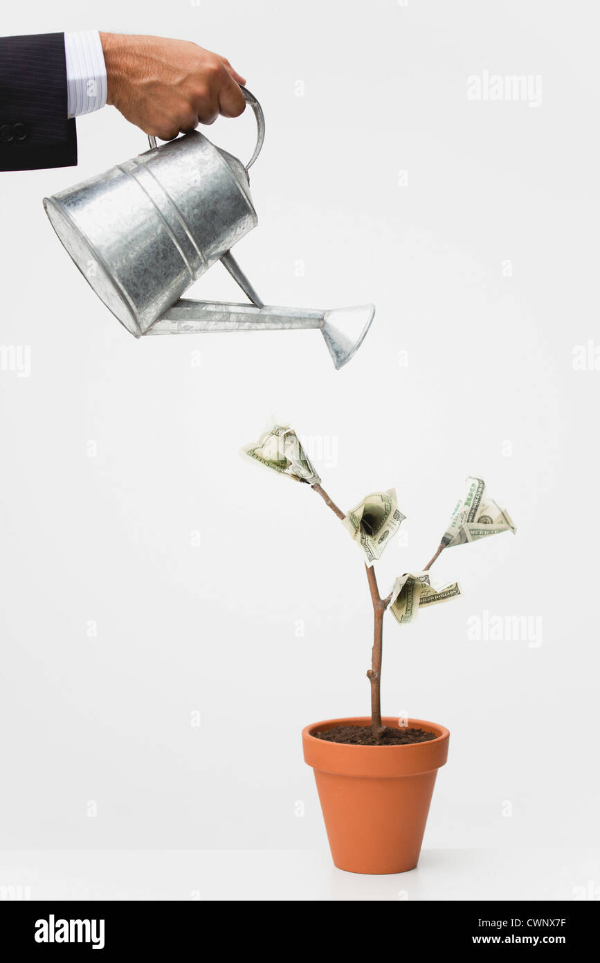 Man watering money tree hi-res stock photography and images - Alamy