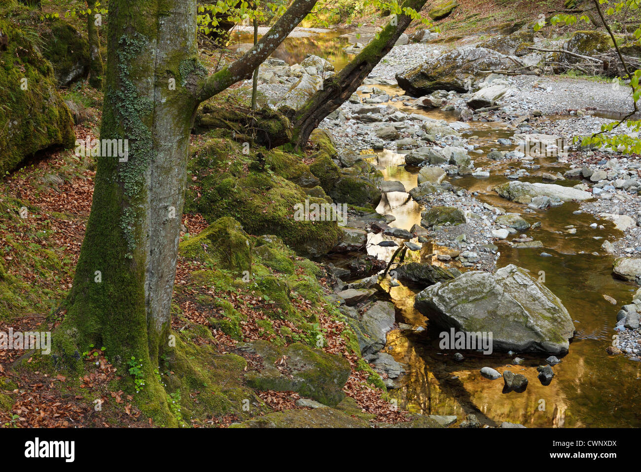 Raab High Resolution Stock Photography and Images - Alamy