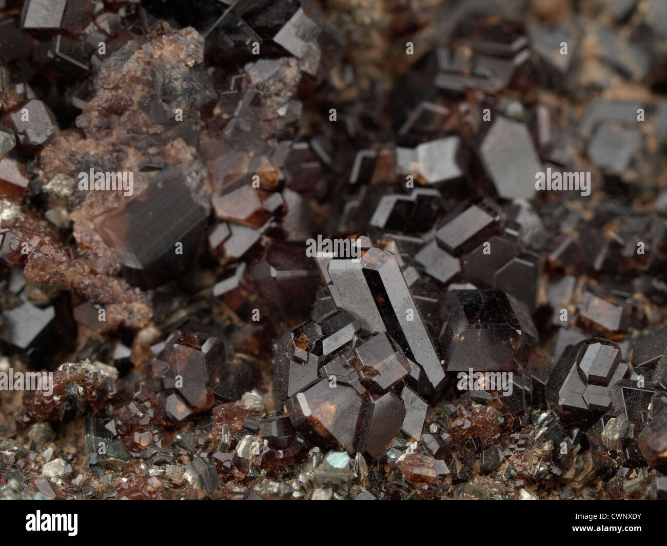 Hessonite hi-res stock photography and images - Alamy