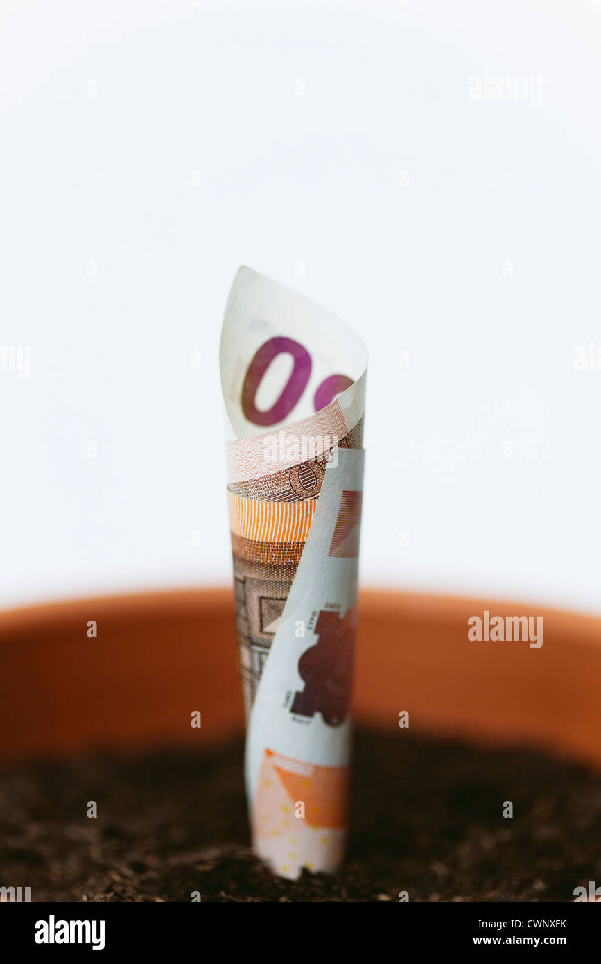 Fifty euro banknote planted in flower pot Stock Photo - Alamy