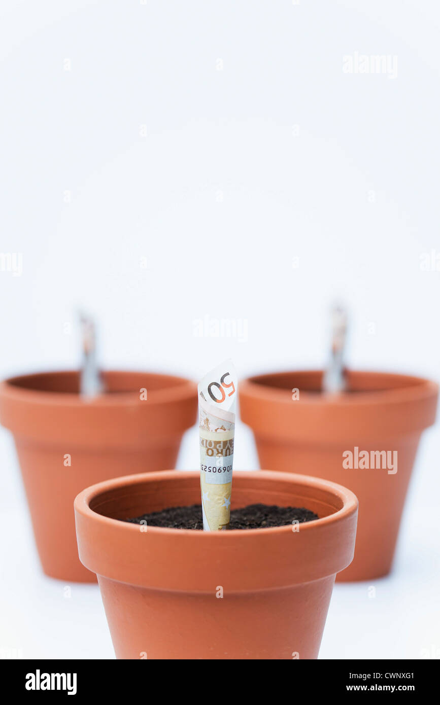 Fifty euro banknotes planted in flower pots Stock Photo - Alamy