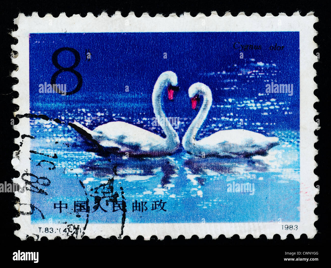 address asian background black china chinese collection grunge heritage ...