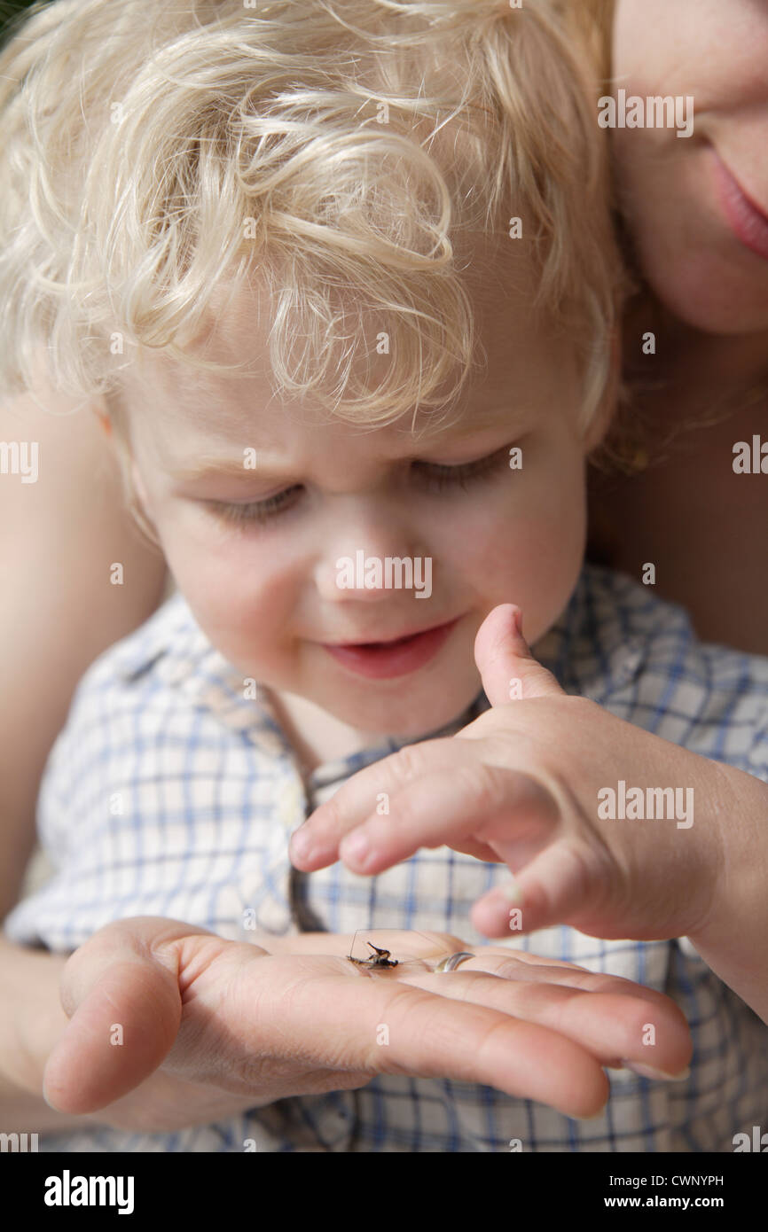 Germany, Bavaria, Mother and son looking at injured insect Stock Photo ...
