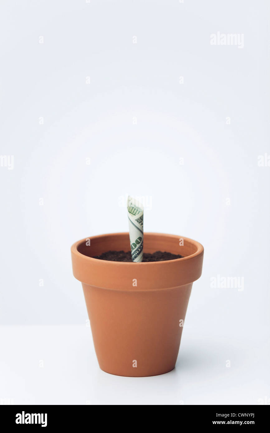 One-hundred dollar bill planted in flower pot Stock Photo - Alamy