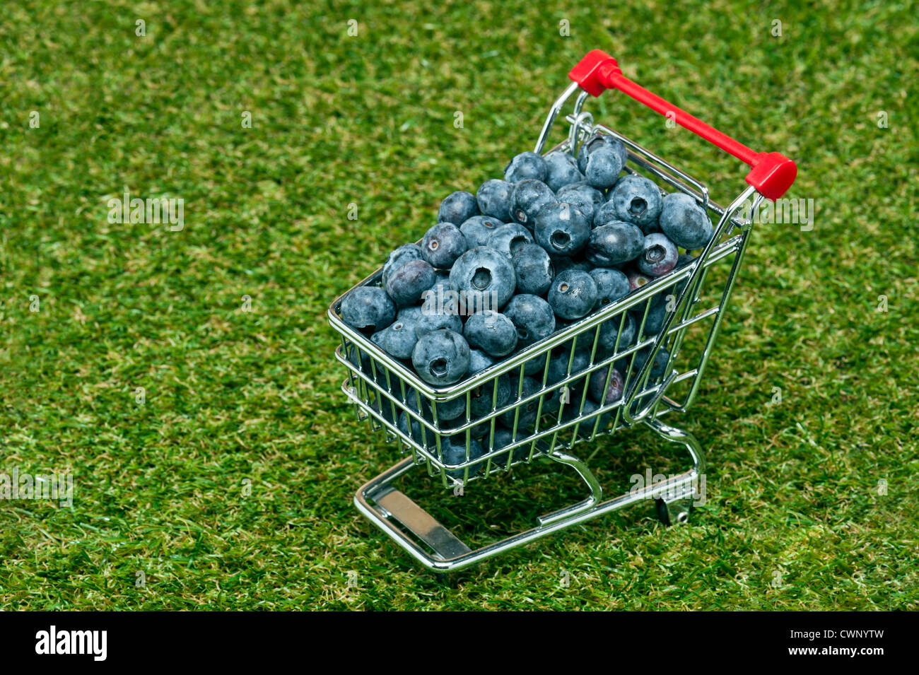 Blueberries in a shopping cart on a lawn Stock Photo - Alamy