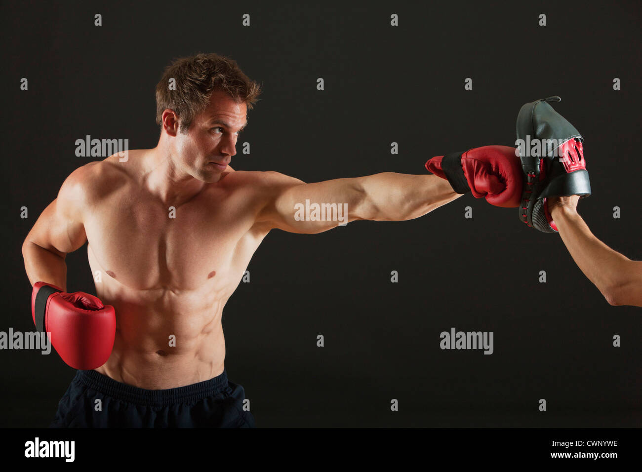 Barechested boxer sparring Stock Photo - Alamy