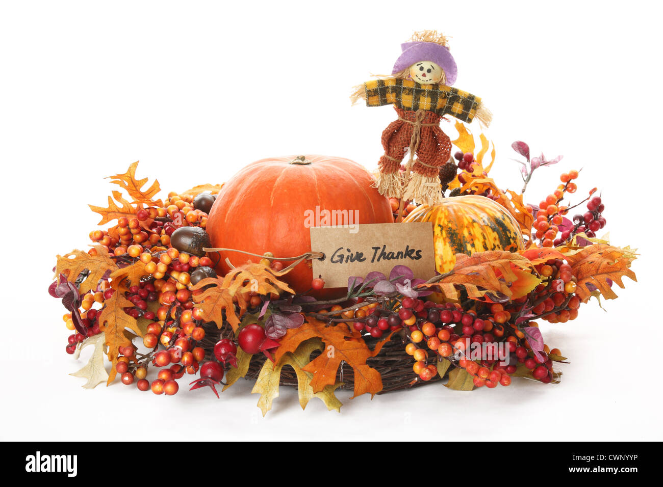 Autumn harvest pumpkin thanksgiving Cut Out Stock Images & Pictures - Alamy