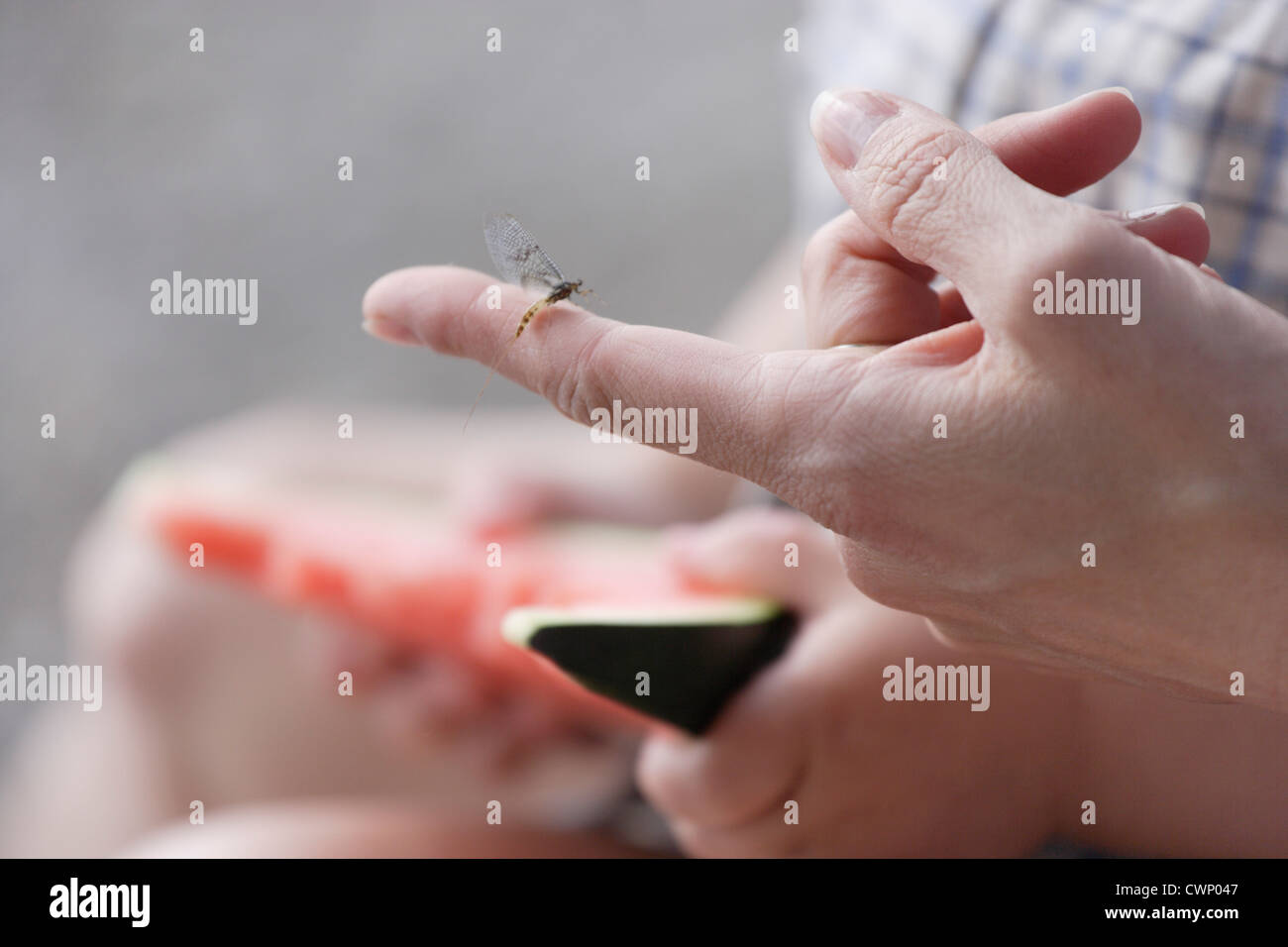 Human eating insect hi-res stock photography and images - Alamy