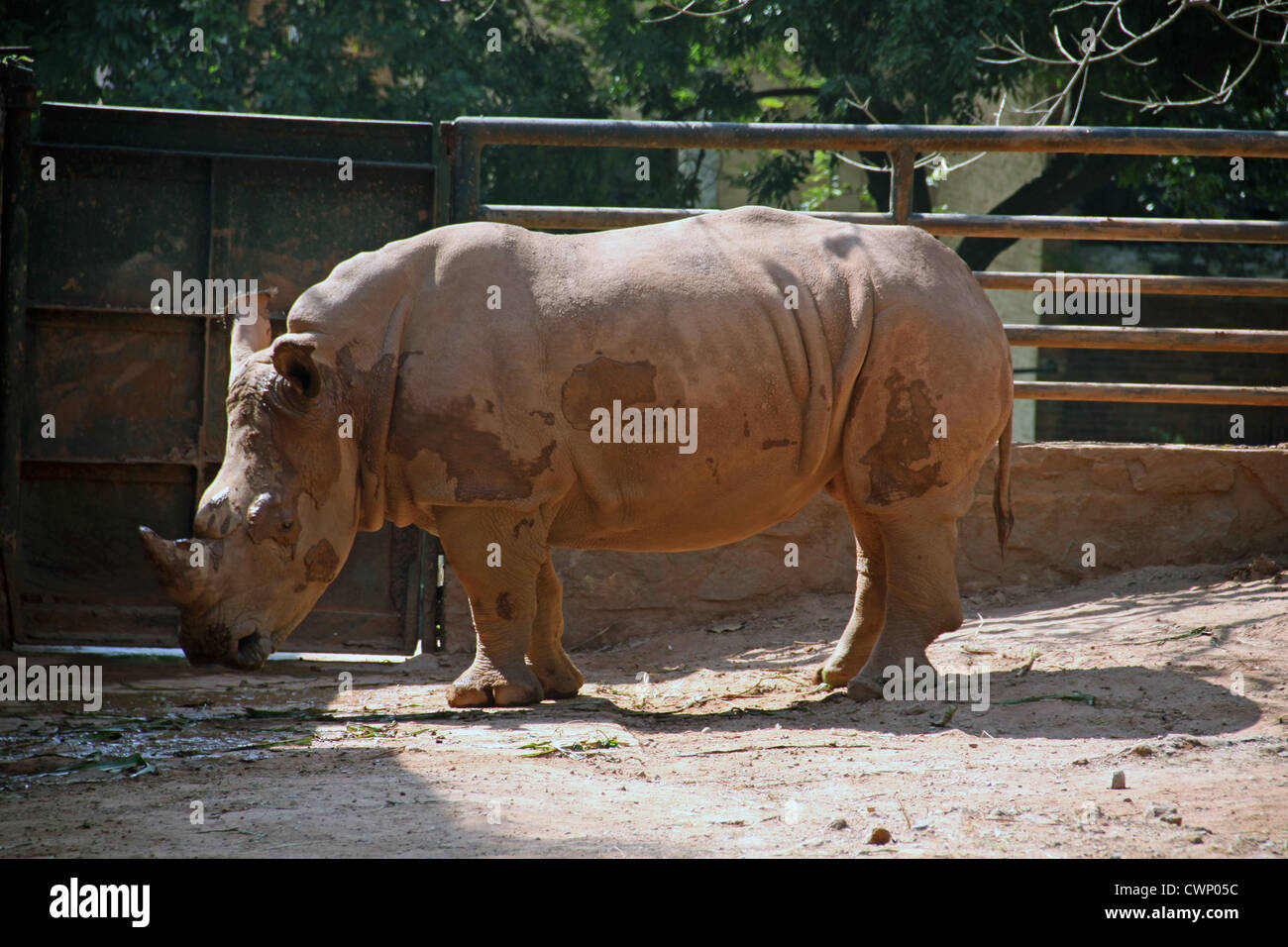 China zoo hi-res stock photography and images - Alamy