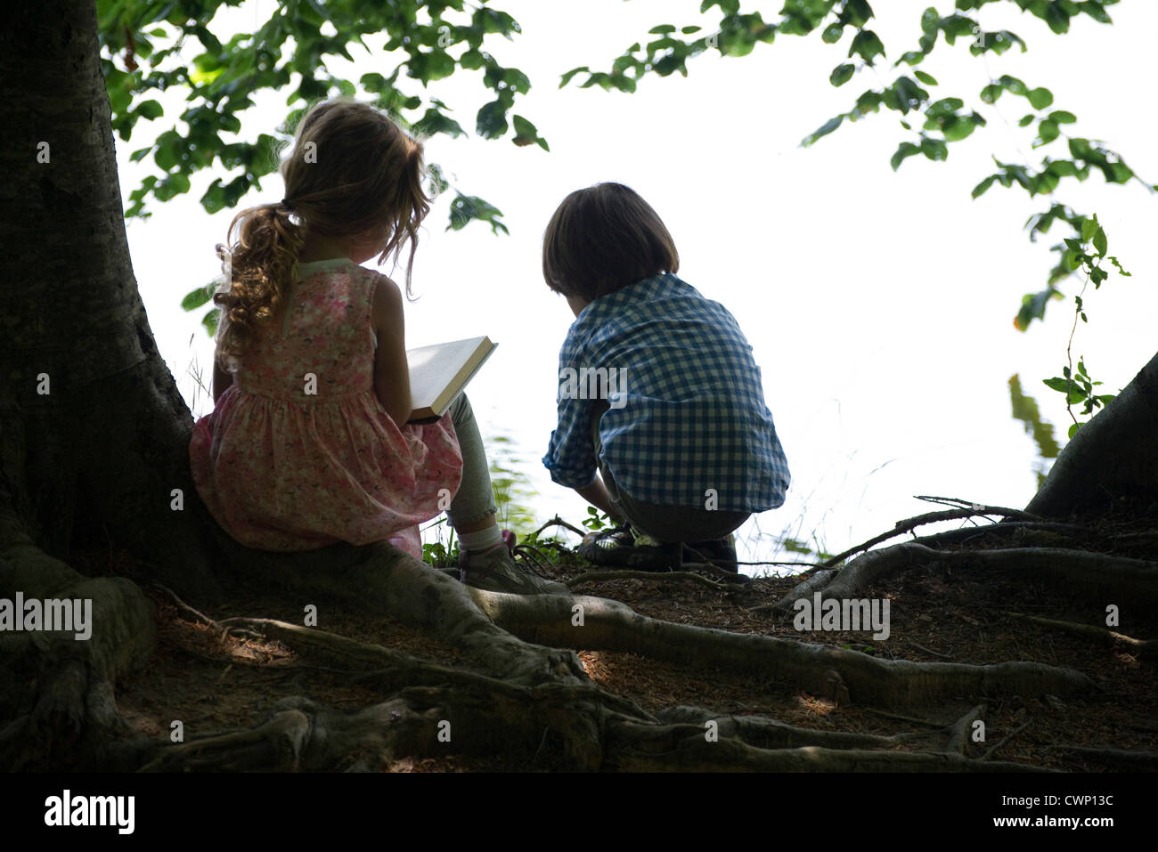 Children hanging out by lake, rear view, backlit Stock Photo - Alamy