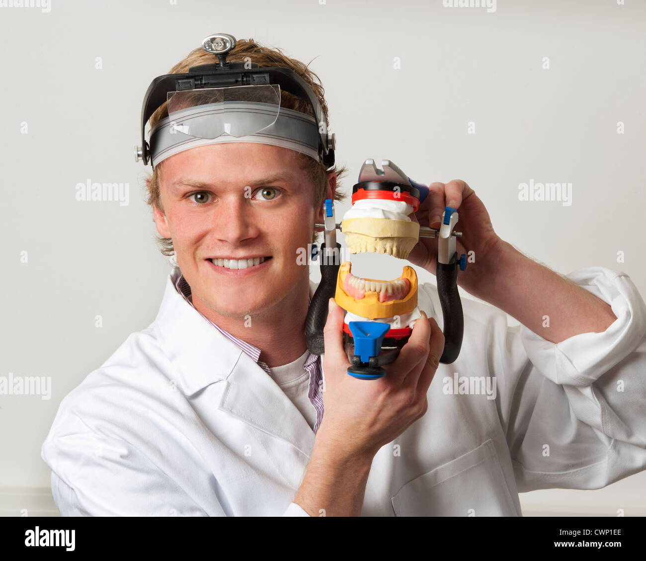 Dentist holding dentures in articulator, portrait Stock Photo - Alamy
