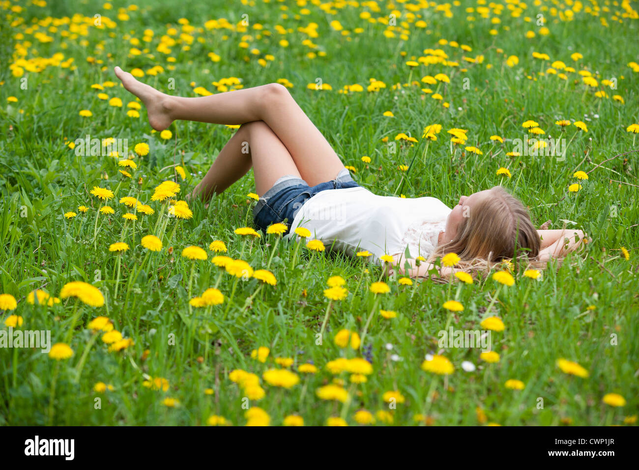 Austria, Teenage girl lying in field of flowers Stock Photo - Alamy