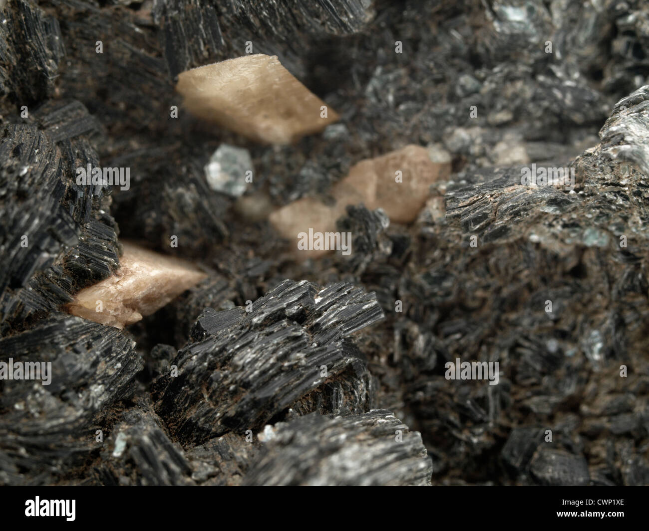 Chlorite hi-res stock photography and images - Alamy