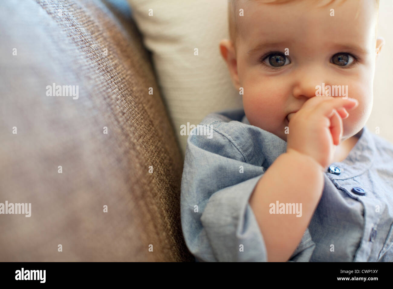 Baby boy, portrait Stock Photo - Alamy
