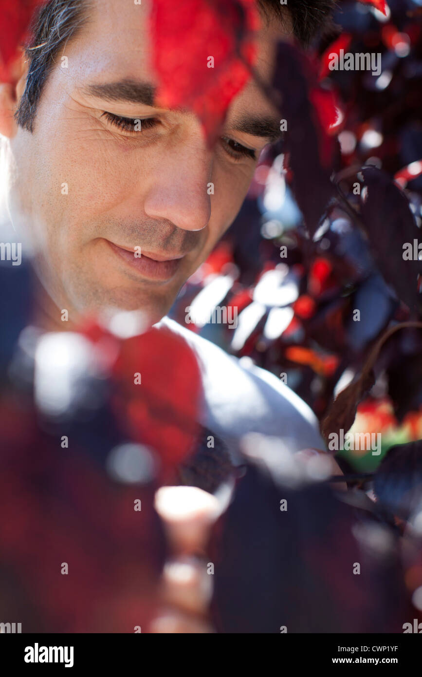 Man viewed through foliage, portrait Stock Photo - Alamy