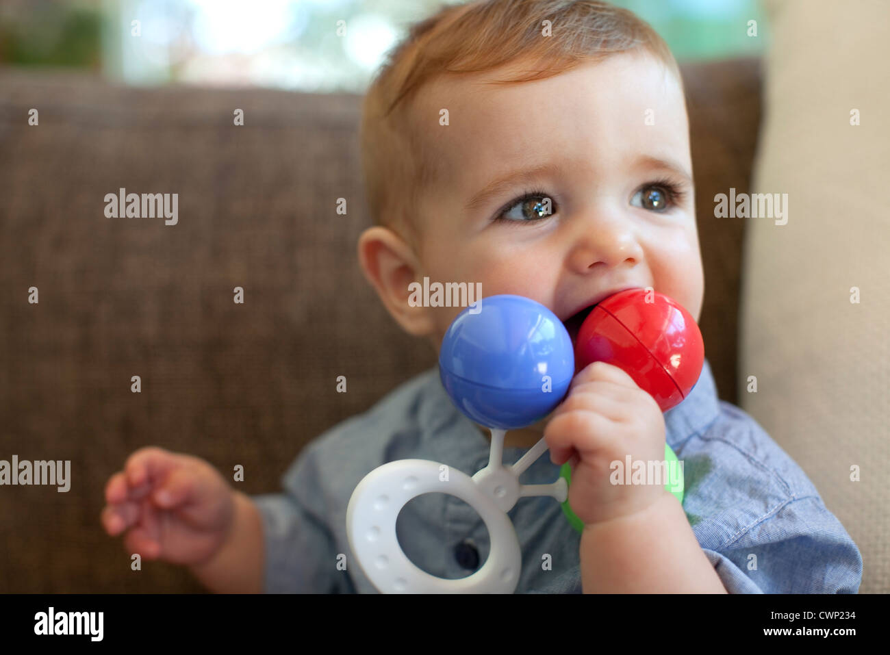 Infant boy biting toy hi-res stock photography and images - Alamy
