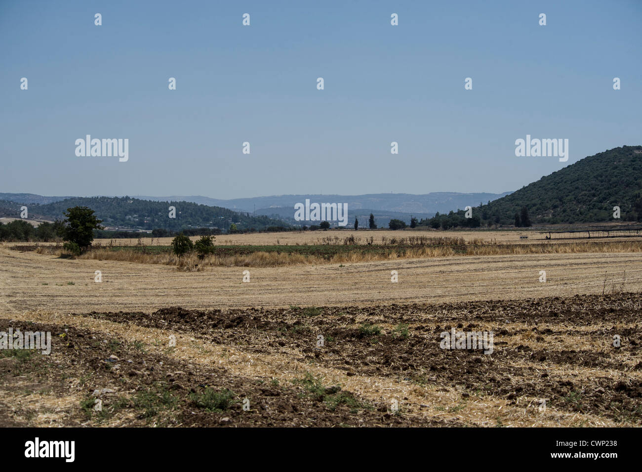 Valley of Elah Israel Stock Photo - Alamy