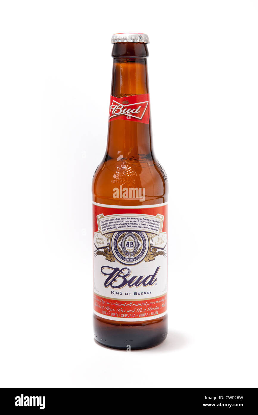 Single bottle of Bud lager beer Stock Photo - Alamy