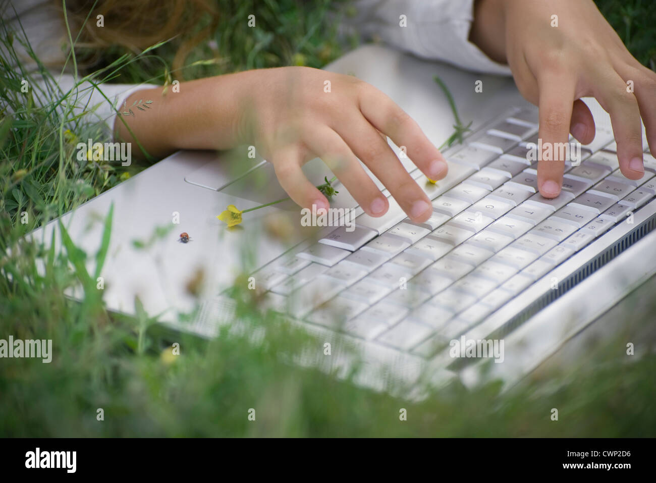 Girl using laptop computer in grass, cropped Stock Photo - Alamy