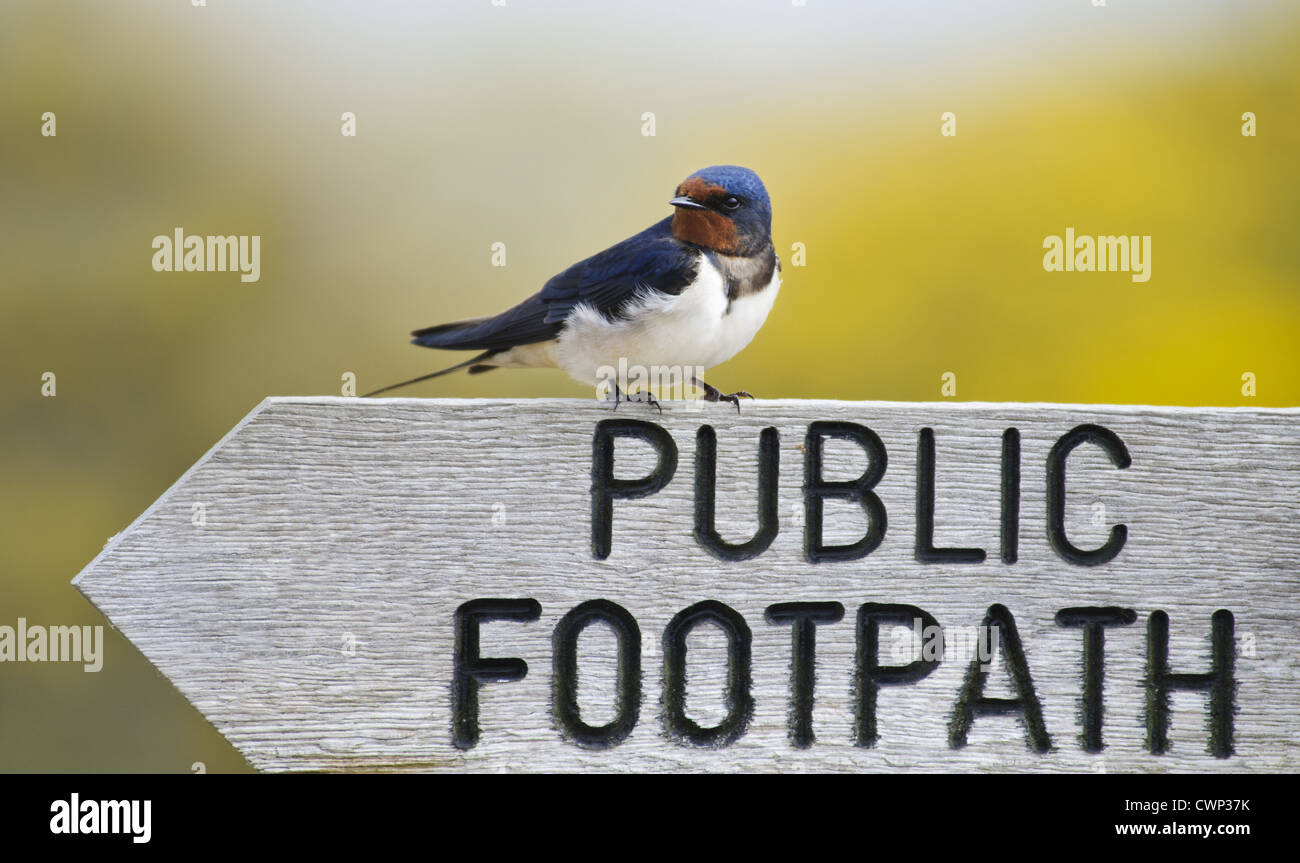 Signs wooden suffolk uk hi-res stock photography and images - Alamy