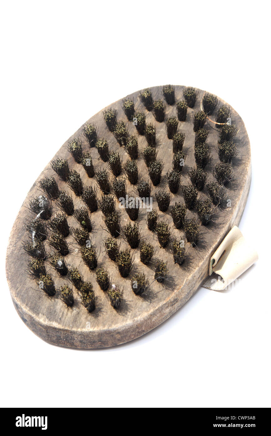 Brush back hi-res stock photography and images - Alamy