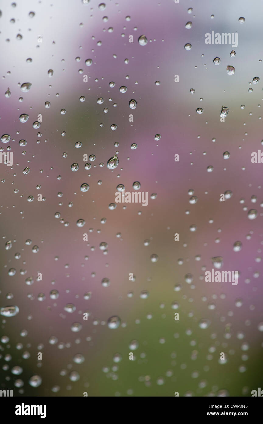 Raindrops on window Stock Photo - Alamy