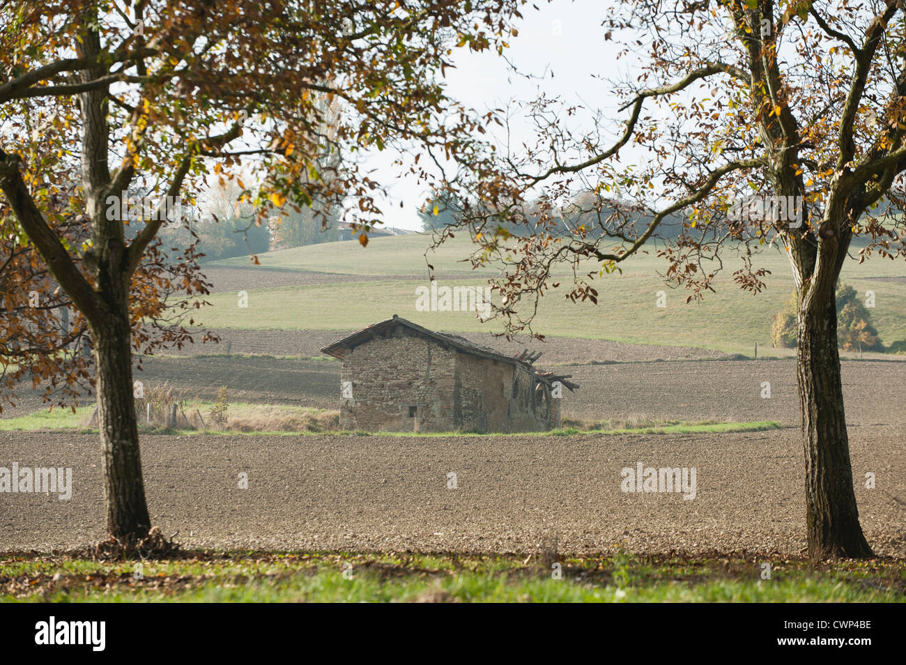 Tranquil rural scene Stock Photo - Alamy
