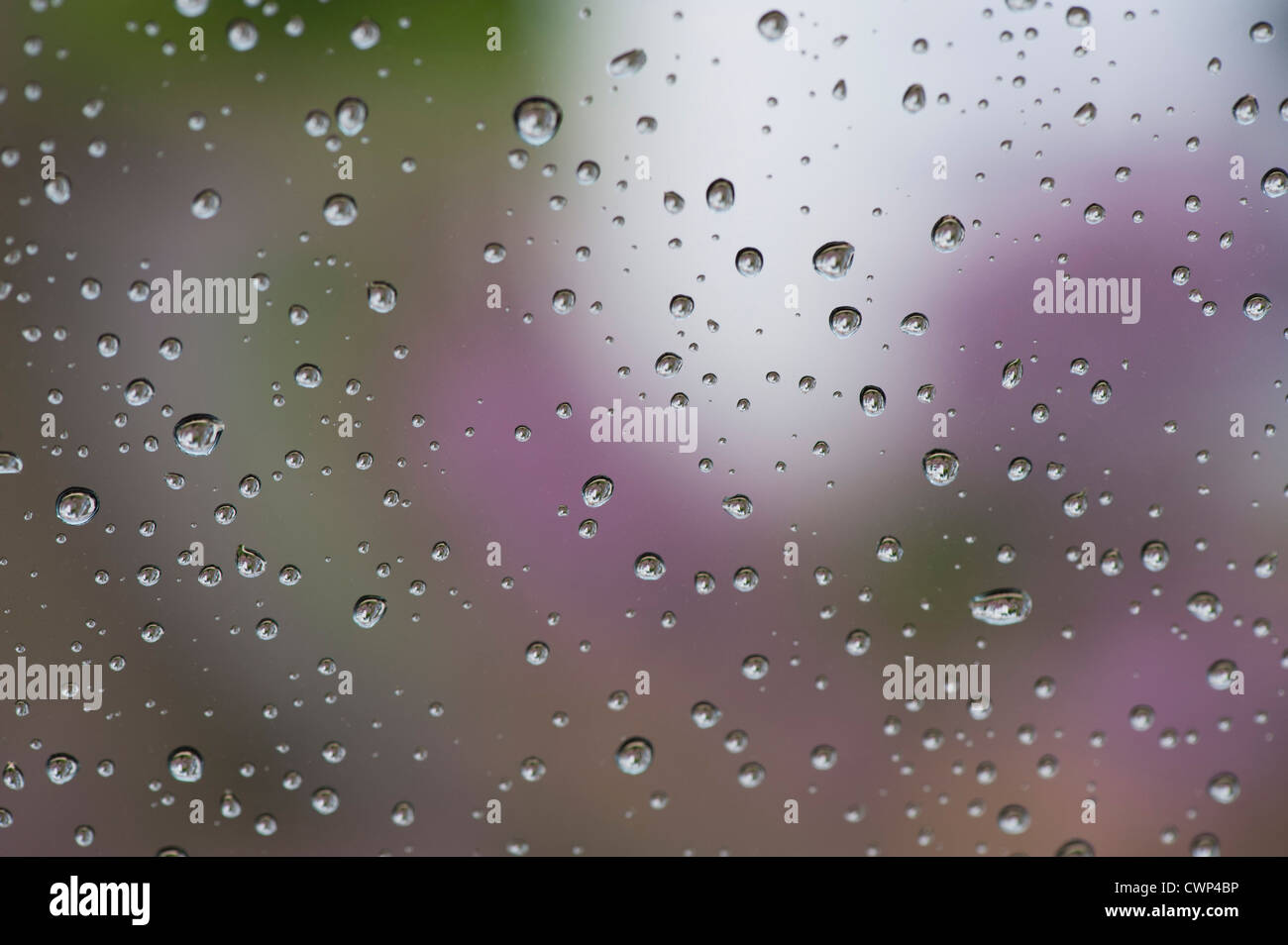 Raindrops on window Stock Photo - Alamy