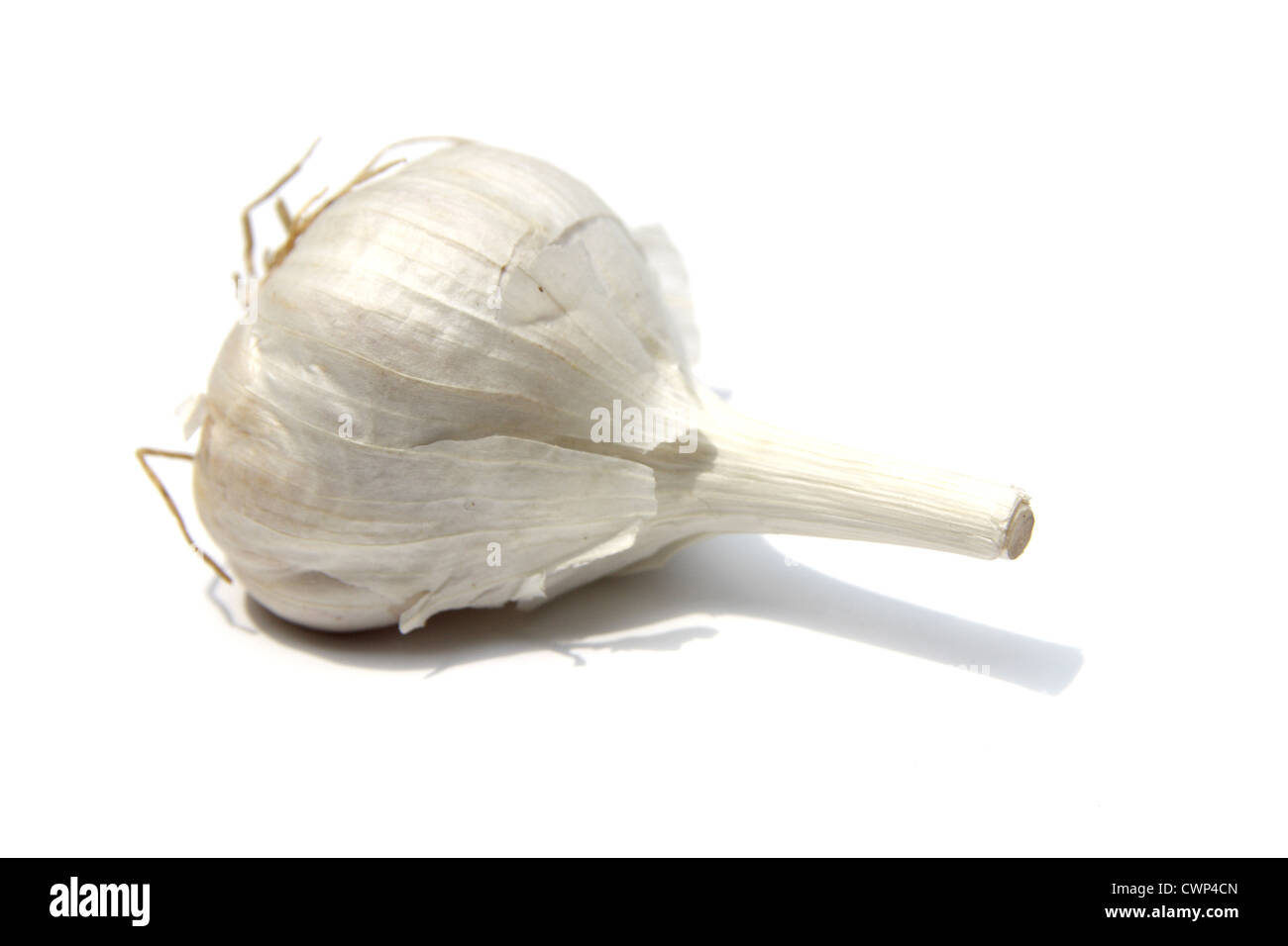 Garlic on white background Stock Photo - Alamy