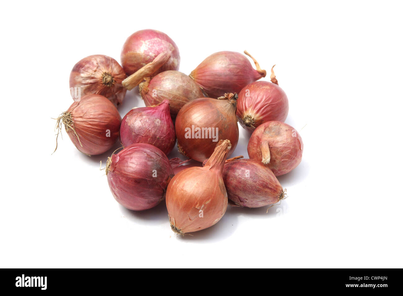 Shallot on white background Stock Photo - Alamy