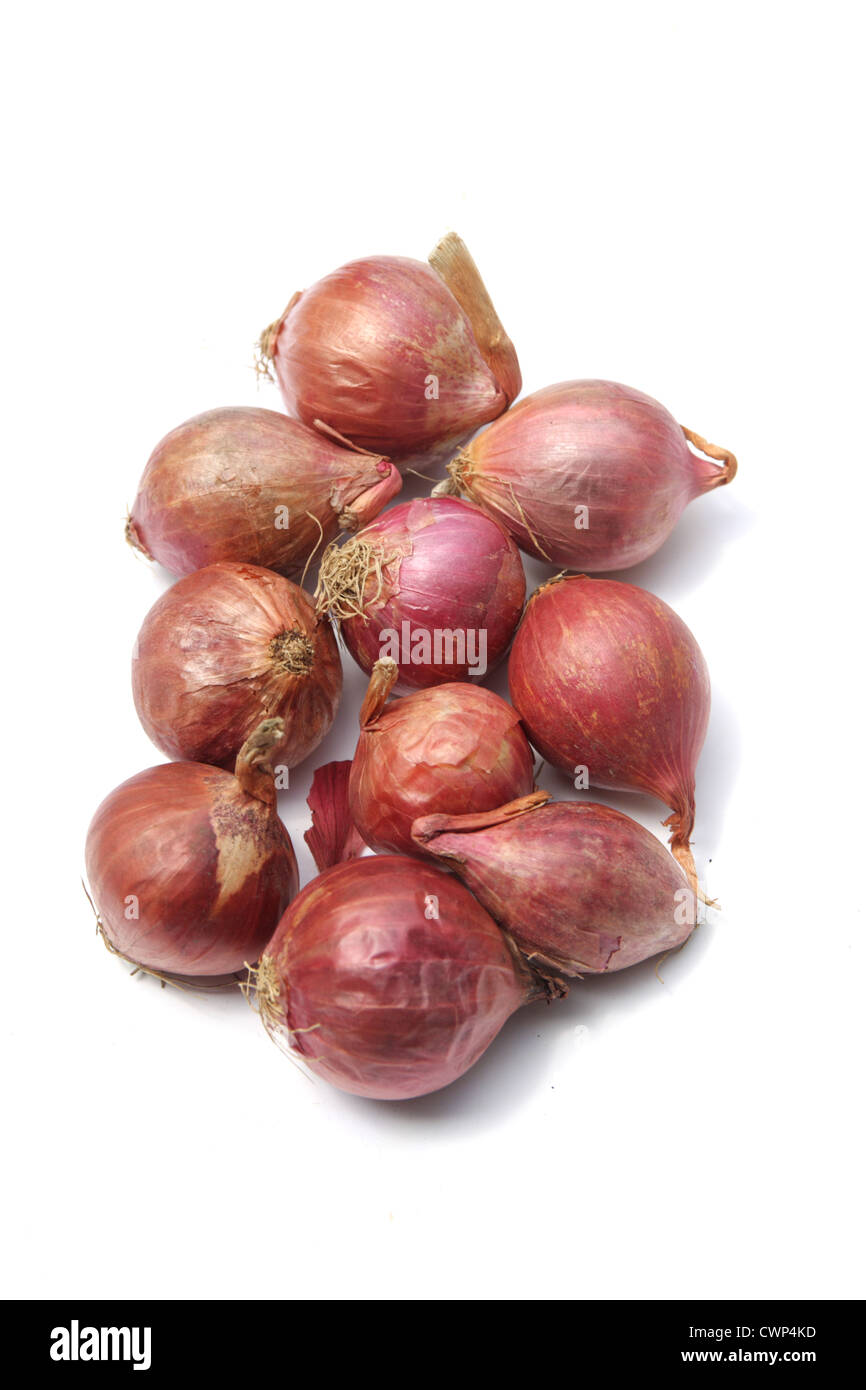 Red shallot isolated on Cut Out Stock Images & Pictures - Alamy